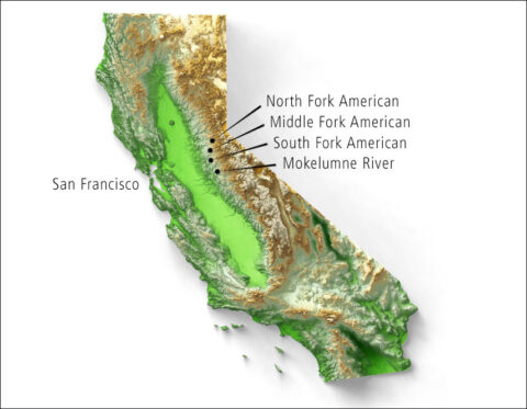 MIDDLE FORK AMERICAN RIVER - Whitewater Connection